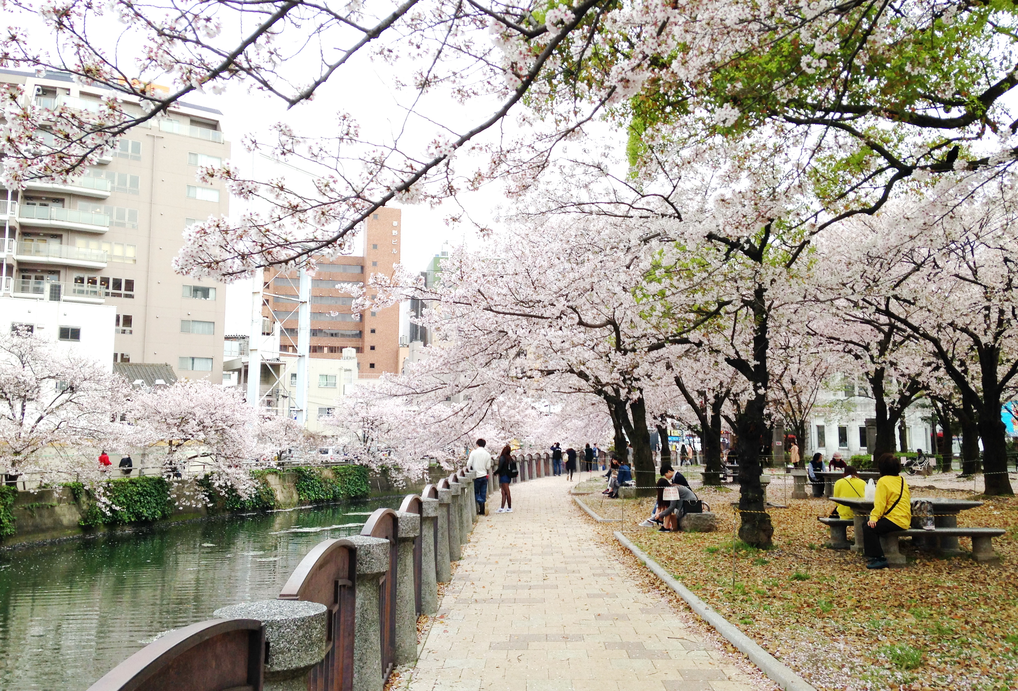 เที่ยวสวนเท็นจิน ด้วยตัวเอง เมื่อไหร่ดี - When OR Where