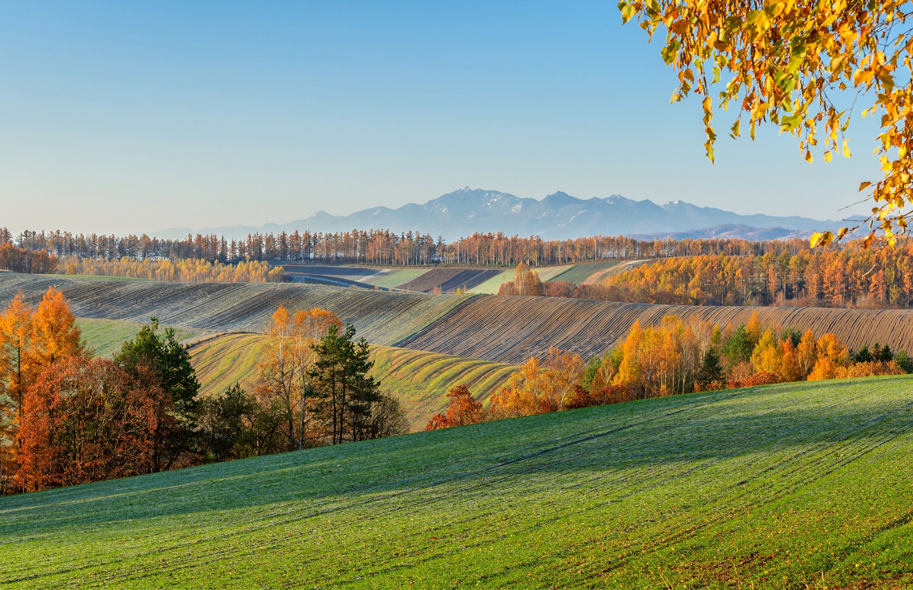 เที่ยวถนนสายแพชเวิร์ค ด้วยตัวเอง เมื่อไหร่ดี - When OR Where