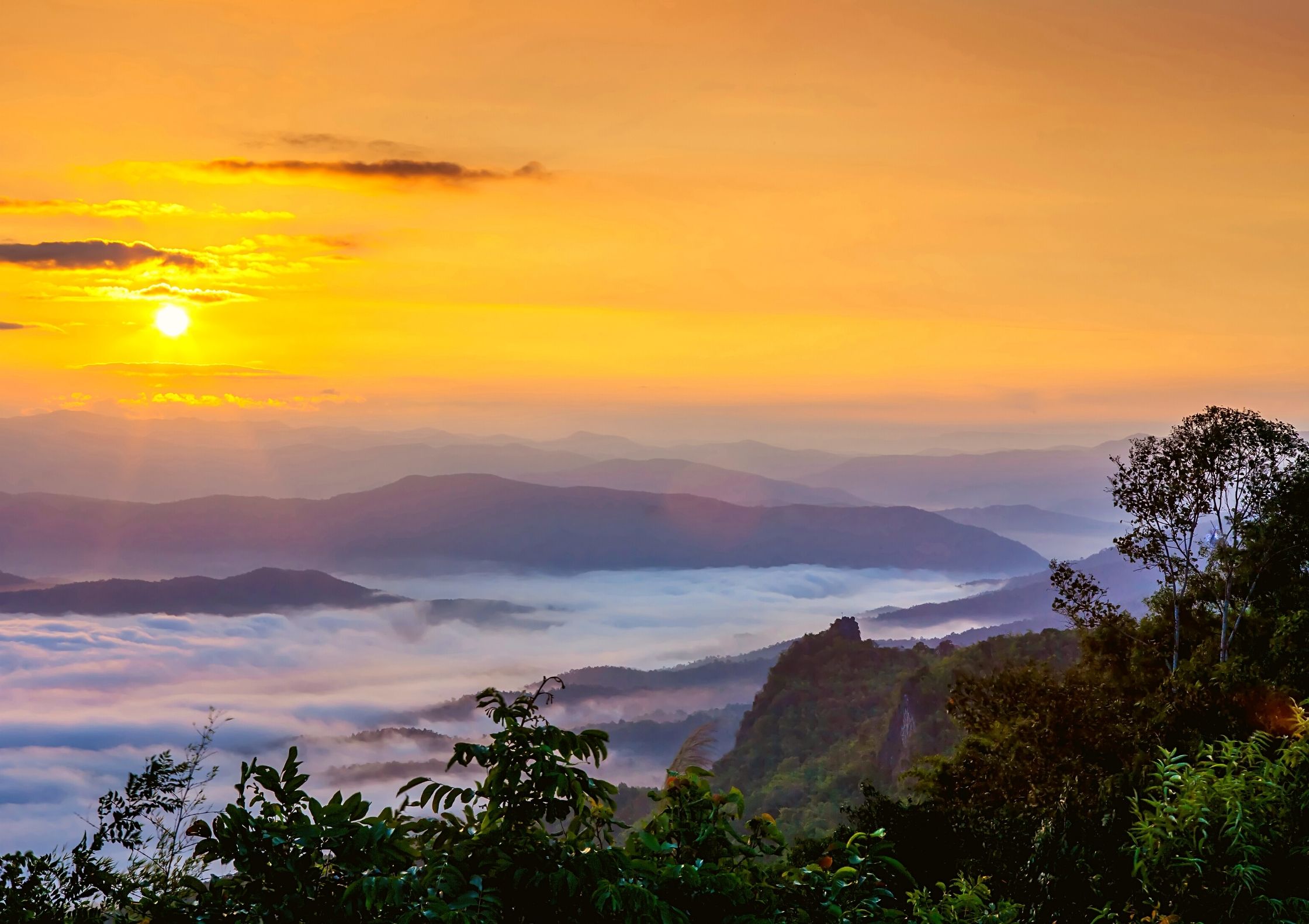 เที่ยวอุทยานแห่งชาติศรีน่าน ด้วยตัวเอง เมื่อไหร่ดี - When OR Where